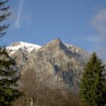 Transylvania: Cultural Full-Day Trip by Minivan - The Value of the Experience