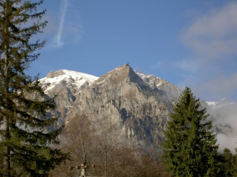 Transylvania: Cultural Full-Day Trip by Minivan - The Value of the Experience