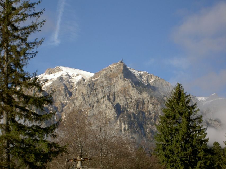Transylvania: Cultural Full-Day Trip by Minivan - The Value of the Experience