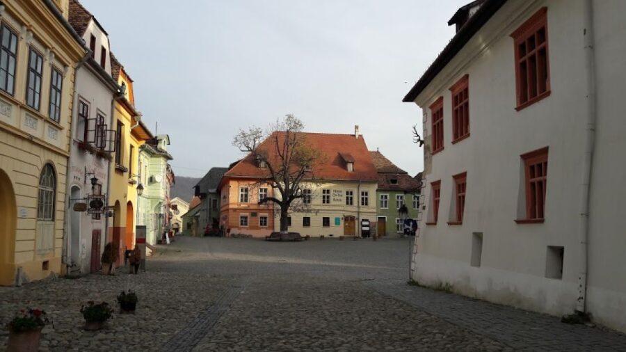 Transylvania: Dracula's Castle and Birthplace Tour - The Value and Practicalities
