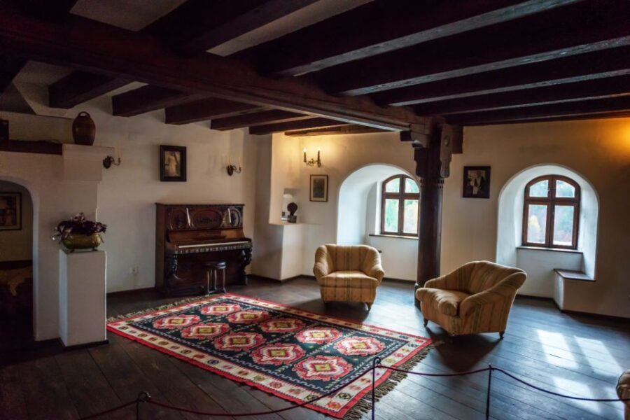 Transylvania Tour: Dracula's Castle, Peles Palace & Brasov - Who Is This Tour Best For?