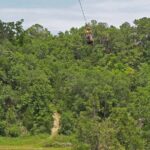 Treetop Express Zip Line Tour with 5 Zip Line Flights & 2 Sky Bridges Included - The Scenic Highlights and Views