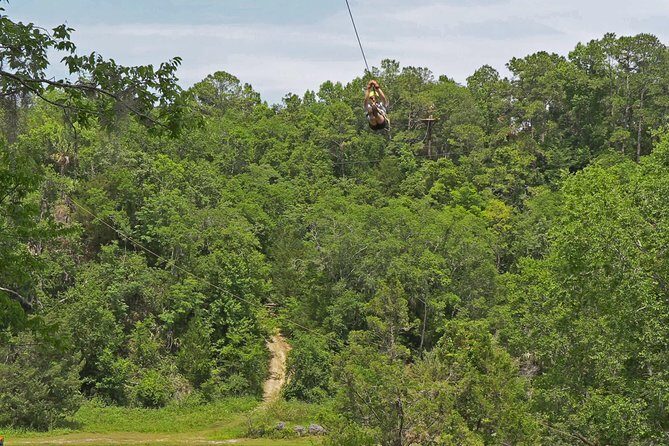 Treetop Express Zip Line Tour with 5 Zip Line Flights & 2 Sky Bridges Included - The Scenic Highlights and Views