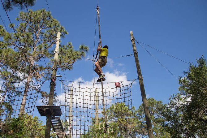 TreeUmph Adventure Course - Detailed Breakdown of the Experience