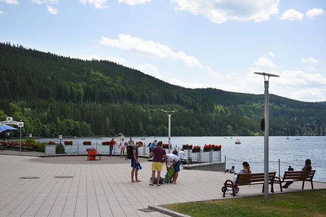 Trip from Zurich to Germany's Black Forest & Swiss Rhine Falls - What Makes This Tour Stand Out?