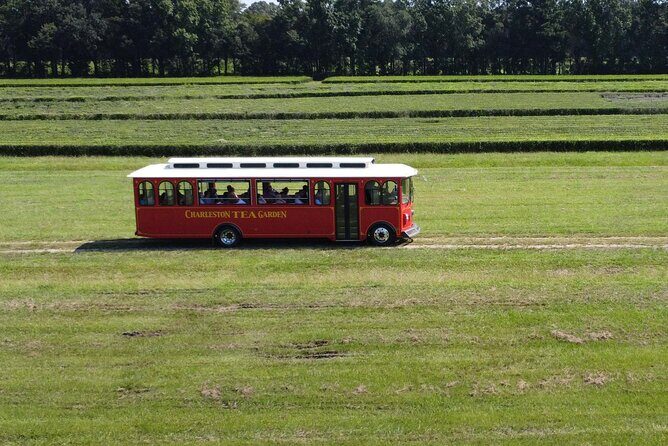 Trolley Tour in Wadmalaw Island of South Carolina - The Tea Tasting and Gift Shop