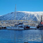 Tromsø: Arctic Fjord Sightseeing Cruise in Luxury Catamaran - Who Will Love This Trip?