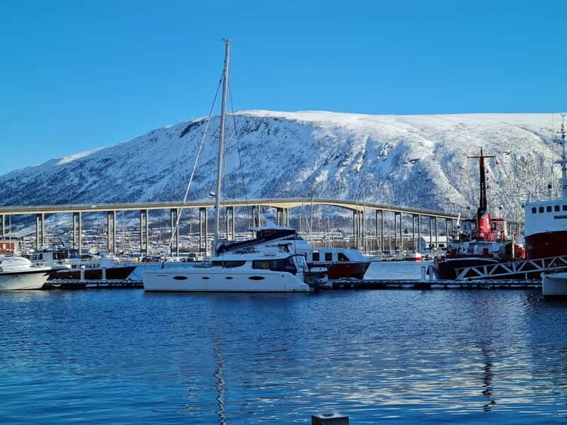 Tromsø: Arctic Fjord Sightseeing Cruise in Luxury Catamaran - Who Will Love This Trip?