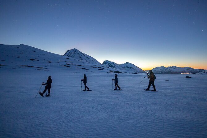 Tromsø: Arctic Landscapes Hiking / Snowshoeing Tour in the wild - Exploring Tromsø Fjords and Islands