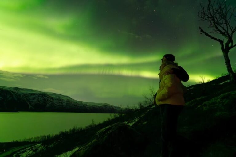 Tromsø: Aurora Quest Minibus Adventure - What’s Included & What’s Not