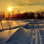 Tromsø: Cross Country Guided Skiing Course - The Itinerary in Detail