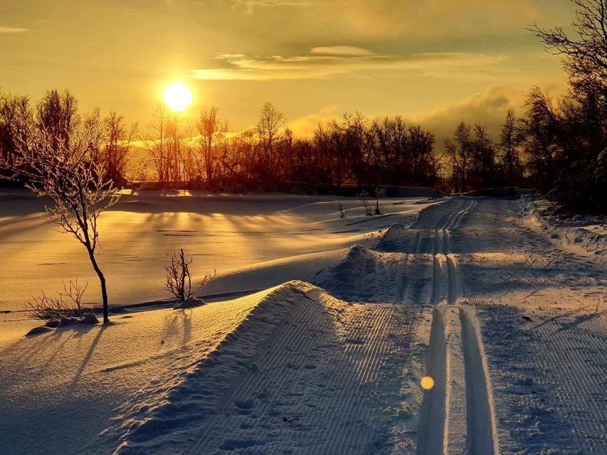 Tromsø: Cross Country Guided Skiing Course - The Itinerary in Detail