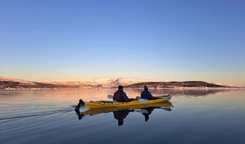 Tromsø: Easy Winter Kayaking Tour with Seal Watching - What to Expect on the Tour