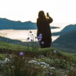 Tromso: Evening guided Fjord Expedition & Kvaløya Island - Who Will Love This Experience?