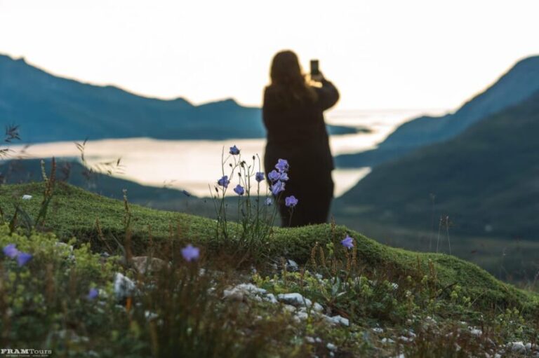 Tromso: Evening guided Fjord Expedition & Kvaløya Island - Who Will Love This Experience?