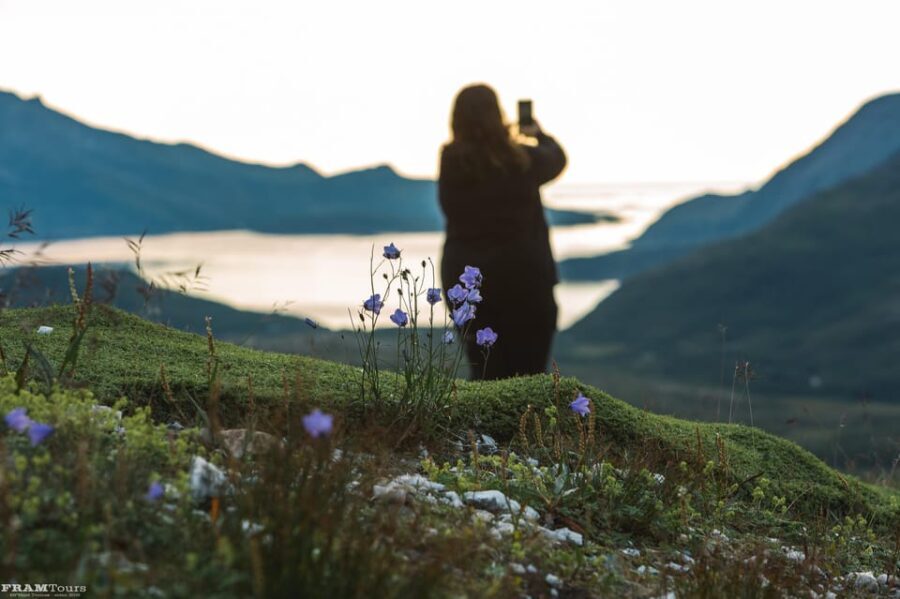 Tromso: Evening guided Fjord Expedition & Kvaløya Island - Who Will Love This Experience?