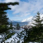 Tromsø: Express Fjord Road Trip - Price and Value