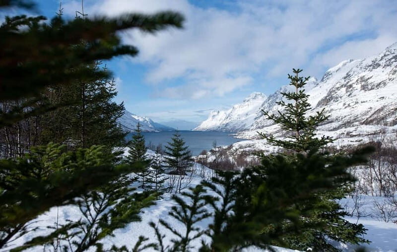 Tromsø: Express Fjord Road Trip - Price and Value