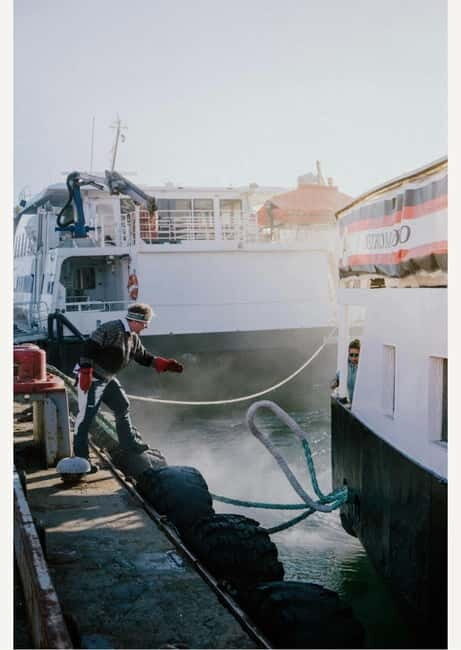 Tromsø: Fjord Cruise Around The Islands & Archipelago - The Itinerary Breakdown