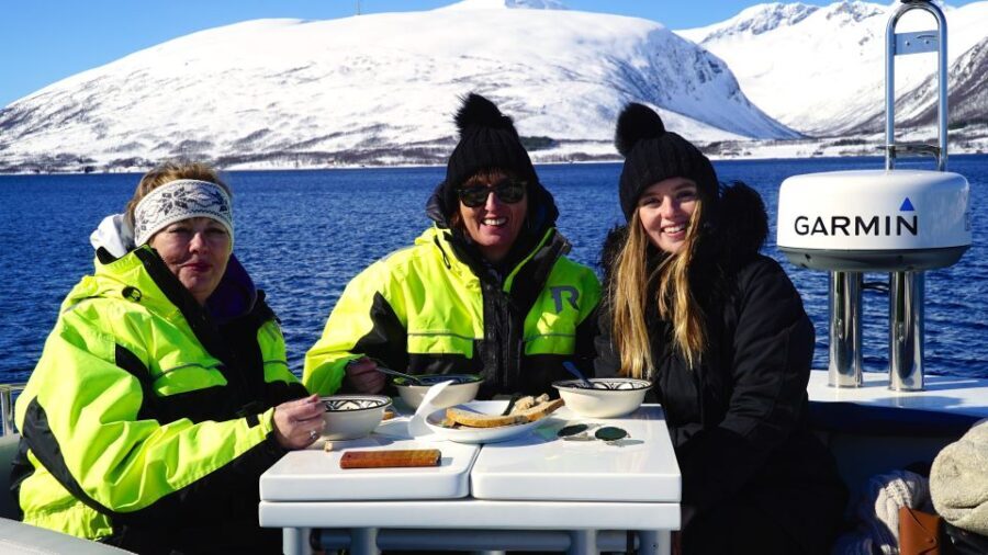 Tromsø: Fjord Cruise by Luxury Yacht - Practical Tips for Your Trip