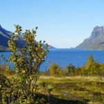 Tromsø: Fjord Sightseeing in a Tesla X Luxury Electric Car - Who Will Love This Tour?