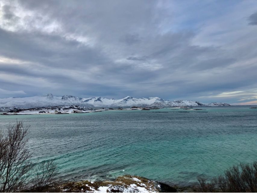 Tromsø: Fjords and Sommarøy Islands Tour with Salmon Picnic - Transportation, Group Size, and Atmosphere