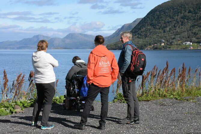 Tromsø Fjords Tour of Kvaloya and Sommaroy - What Do Travelers Say?