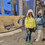 Tromsø: Guided Polar Bear Walk incl. Polaria & Polar Museum - A Detailed Look at the Experience