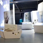 Tromsø: Guided Tour of Polaria - The Value of This Experience