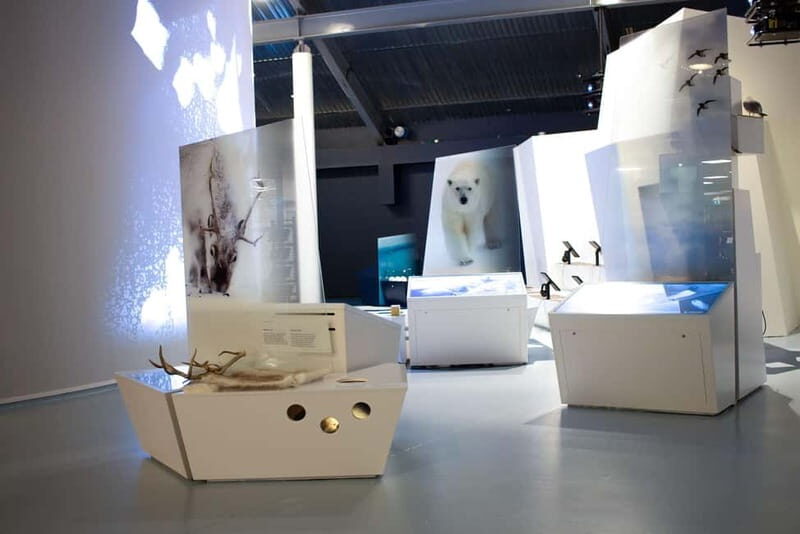 Tromsø: Guided Tour of Polaria - The Value of This Experience