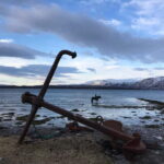 Tromsø: Horseback Riding Tour - Wrapping Up: Is It Worth It?
