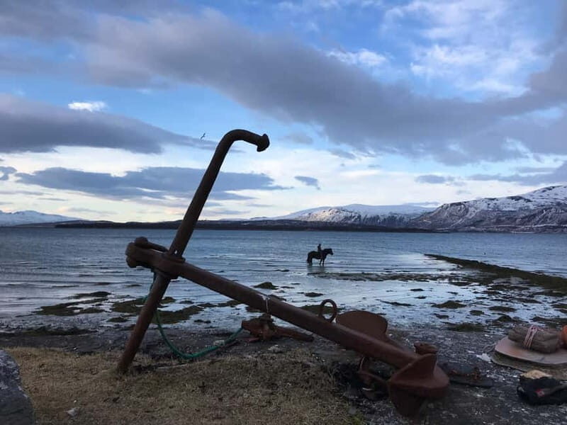 Tromsø: Horseback Riding Tour - Wrapping Up: Is It Worth It?
