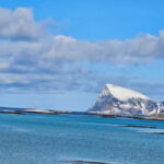 Tromsø: Kvaløya and Sommarøy Guided Tour with Lunch - Wildlife and Nature