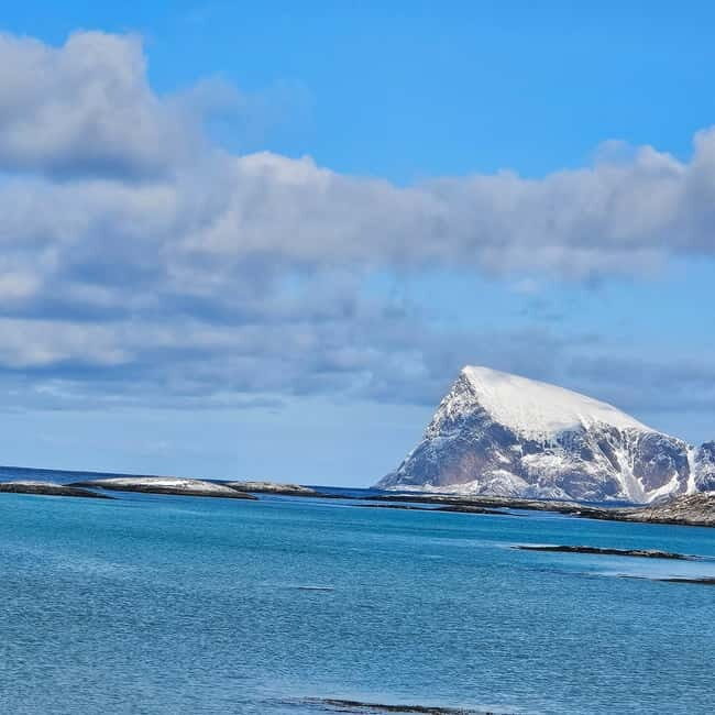 Tromsø: Kvaløya and Sommarøy Guided Tour with Lunch - Wildlife and Nature