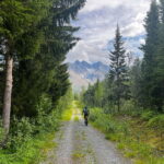 Tromsø: Lyngen Alps Electric Mountain Bike Tour - What the Tour Includes and What to Prepare