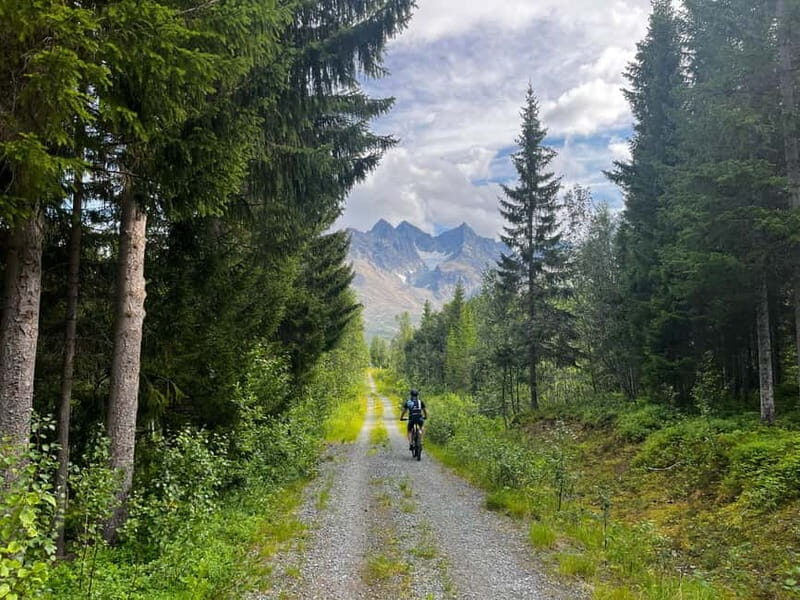 Tromsø: Lyngen Alps Electric Mountain Bike Tour - What the Tour Includes and What to Prepare