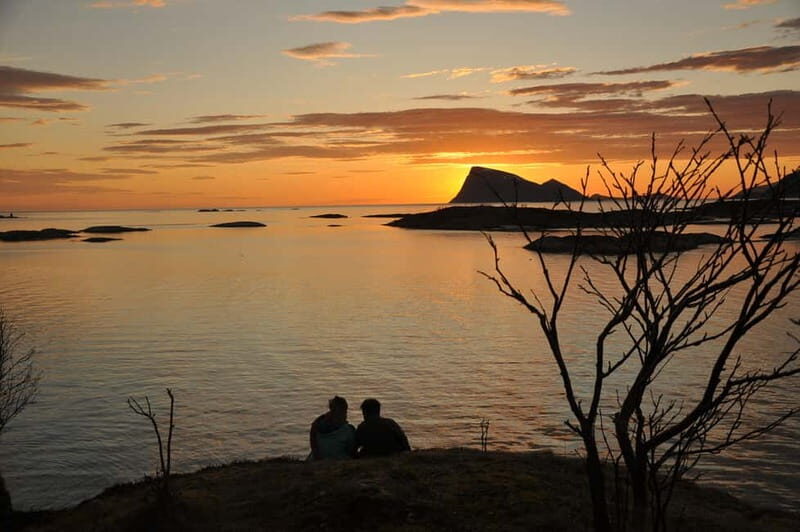 Tromsø: Midnight Sun, Campfire, Beach, Evening Tour - Chasing the Midnight Sun