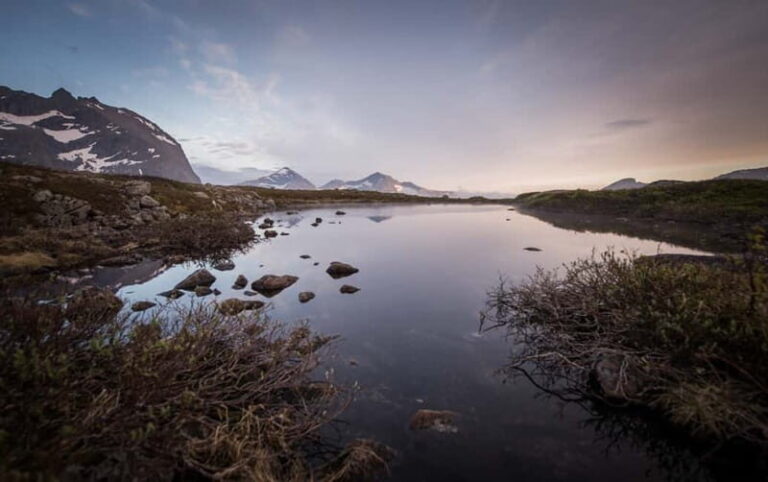 Tromsø: Midnight Sun Hike in the wilderness - Why This Tour Is a Great Choice