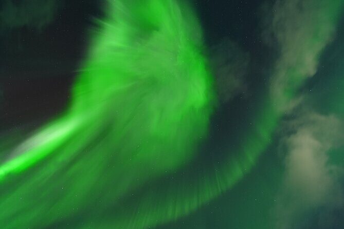 Tromsø: Northern Light tour with free complimentary photos. - Final Thoughts