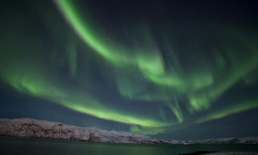 Tromsø: Northern Lights Guided Bus Tour - Analyzing Price and Value