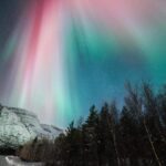 Tromsø: Northern Lights tour with local experts - Analyzing the Price and Value