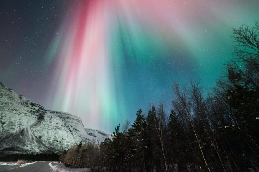 Tromsø: Northern Lights tour with local experts - Analyzing the Price and Value