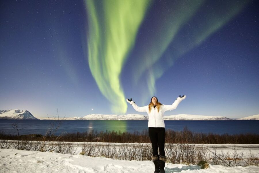 Tromsø: Private 6-Hour Aurora Chase by Minivan - The Value of This Tour