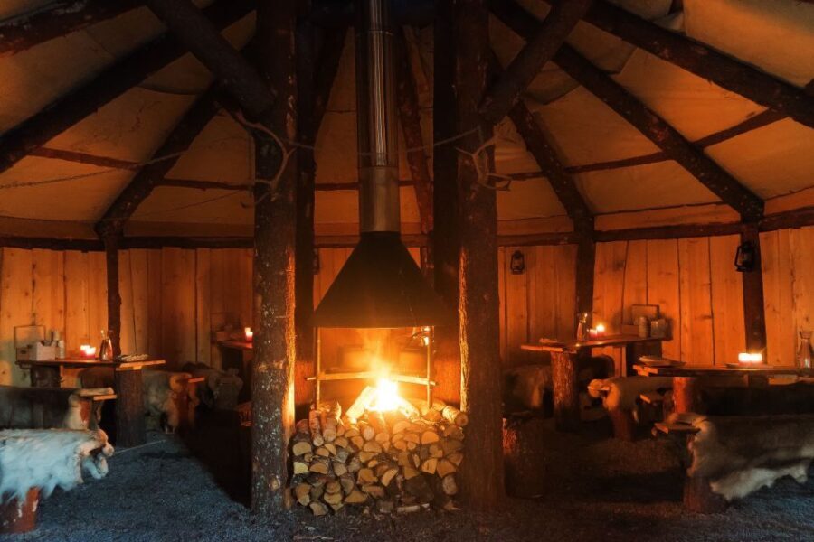 Tromsø: Reindeer Sled, Dinner, and Northern Lights Day Trip - Final Thoughts: Is This Tour Worth Your Time?