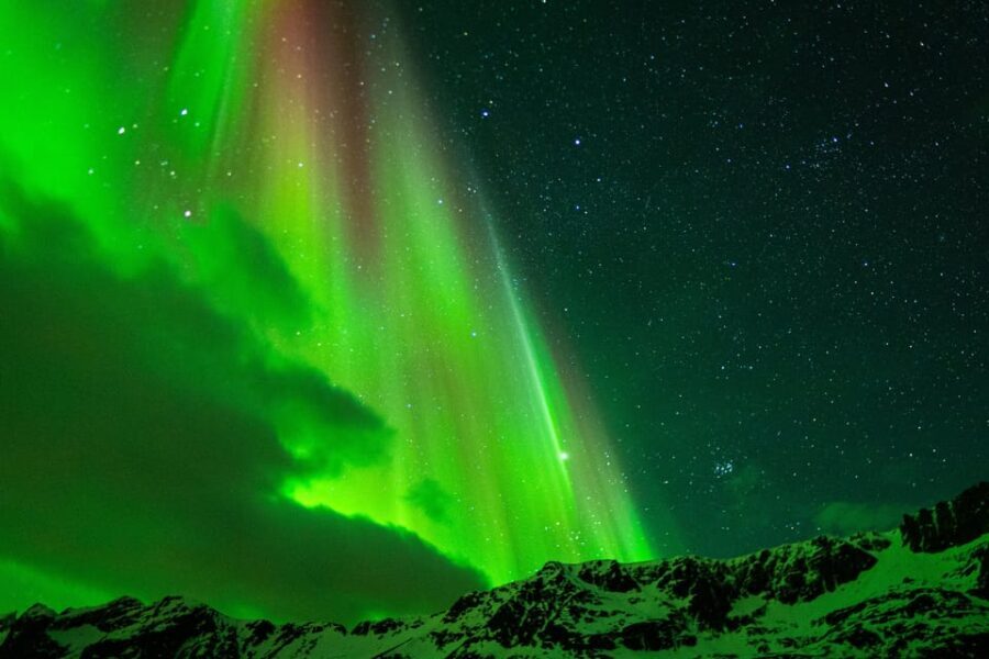 Tromsø: Small-Group Adventurous Northern Lights Hunt - Who this tour is best suited for