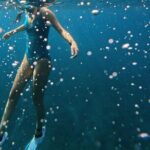 Tropical Reef & Wildlife Boat Snorkel Adventure - Evaluating the Value