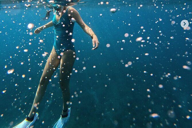 Tropical Reef & Wildlife Boat Snorkel Adventure - Evaluating the Value