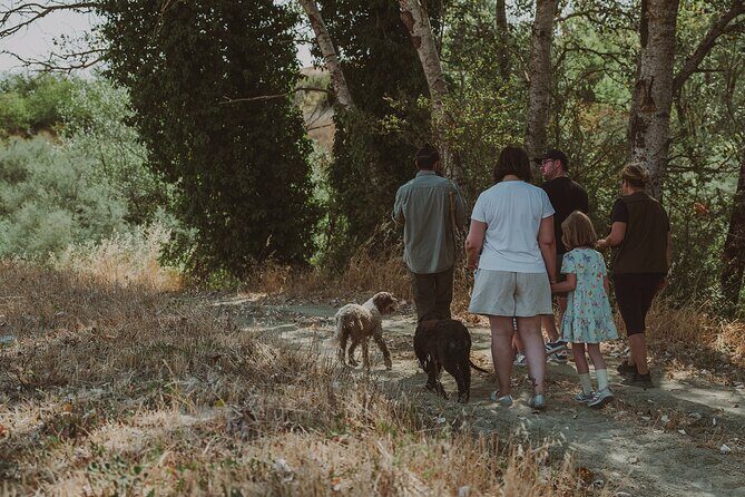 Truffle Hunt in Tuscany - Why This Tour Works Well