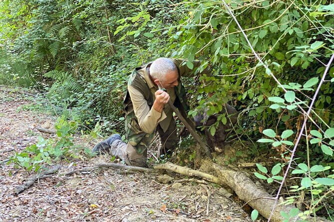 Truffle Hunting in Tuscany - The Practicalities: What to Expect and Consider