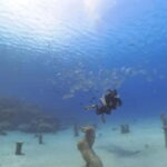 Try Dive - Scuba Diving - private guided - with lot of fish - FAQ